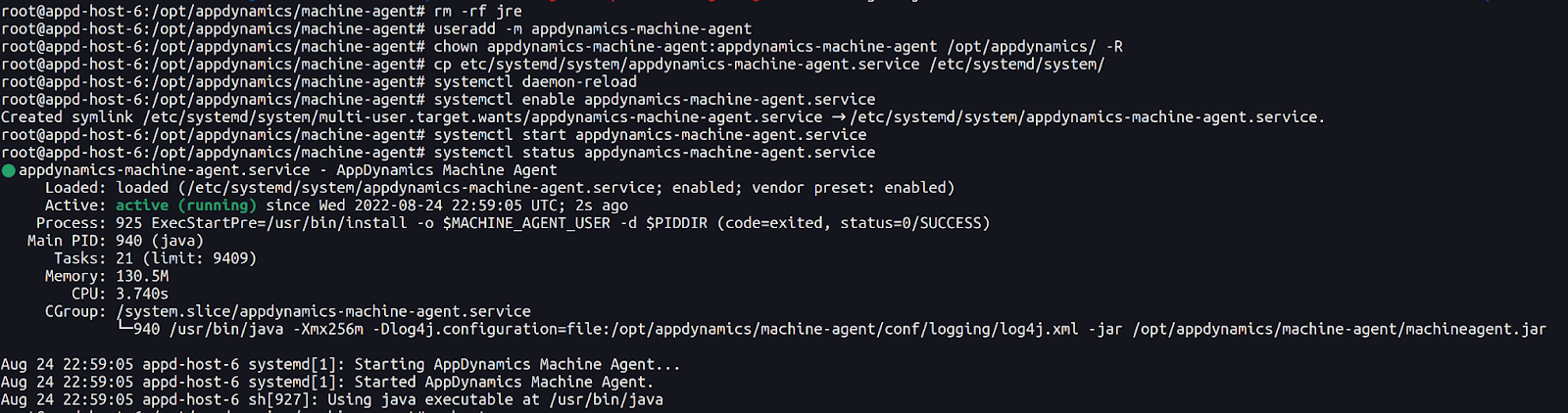 # 2. Install the app agent in the node (opens new window)